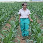 Thato Moagi Bio - Wiki Mzansi